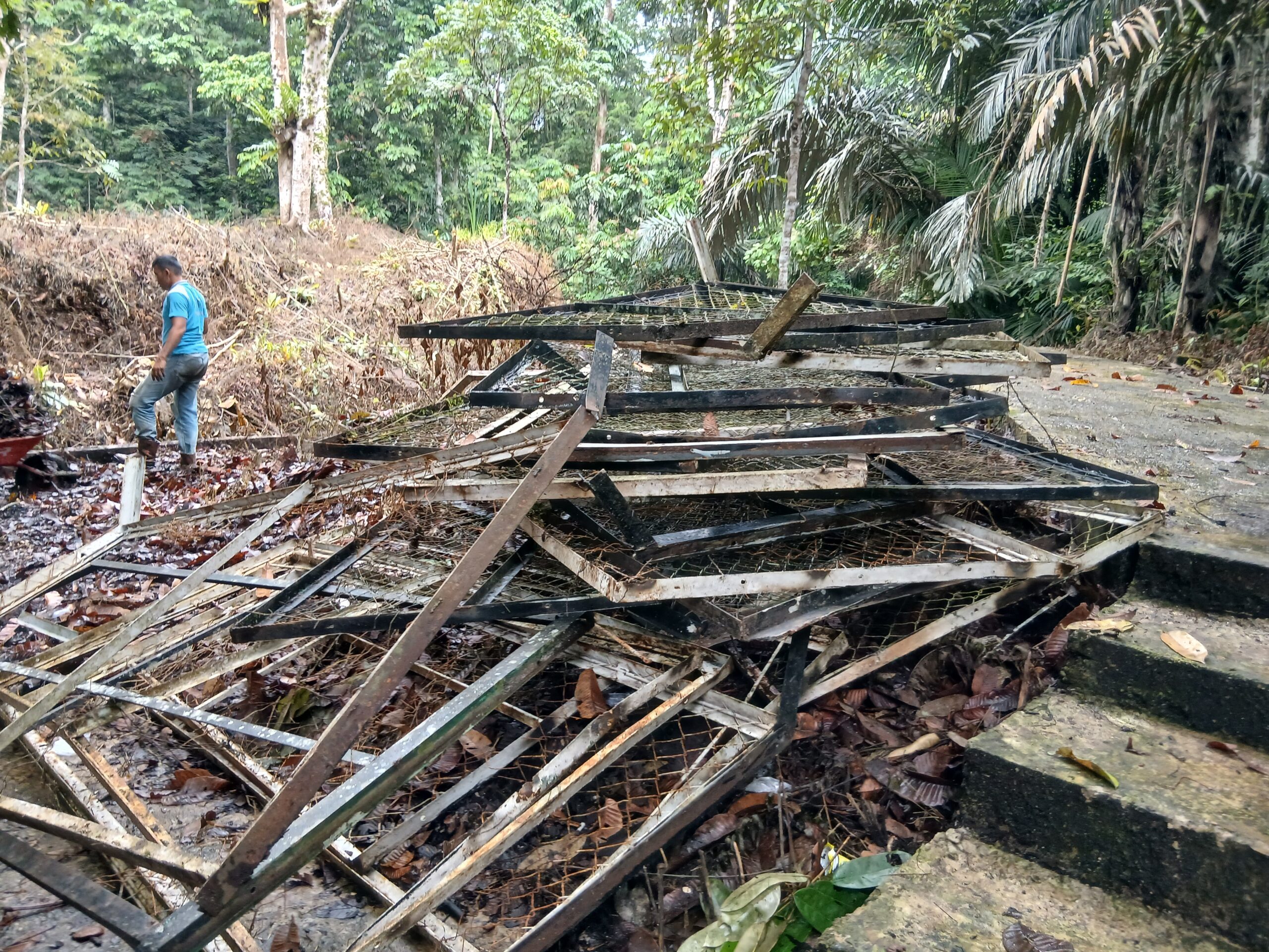 Anggaran Jalan, Wisata Jalan di Tempat: Dugaan Pemborosan di Arboretum ...